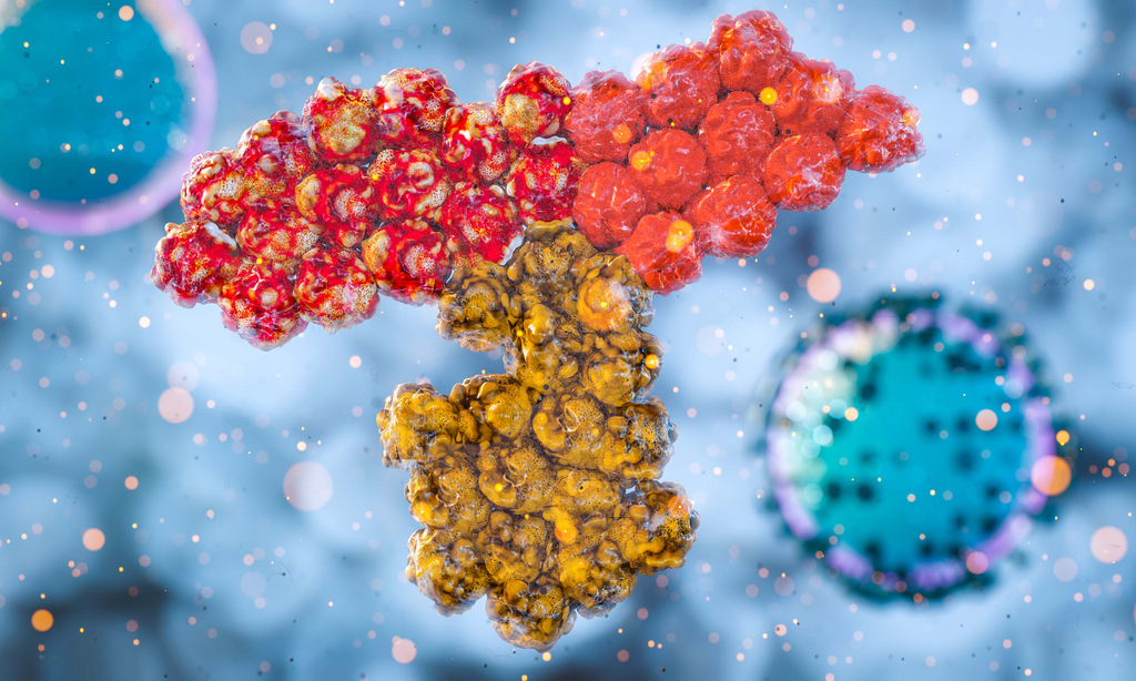 COVID-Impfschutz bei Immunsuppression individuell beurteilen ...